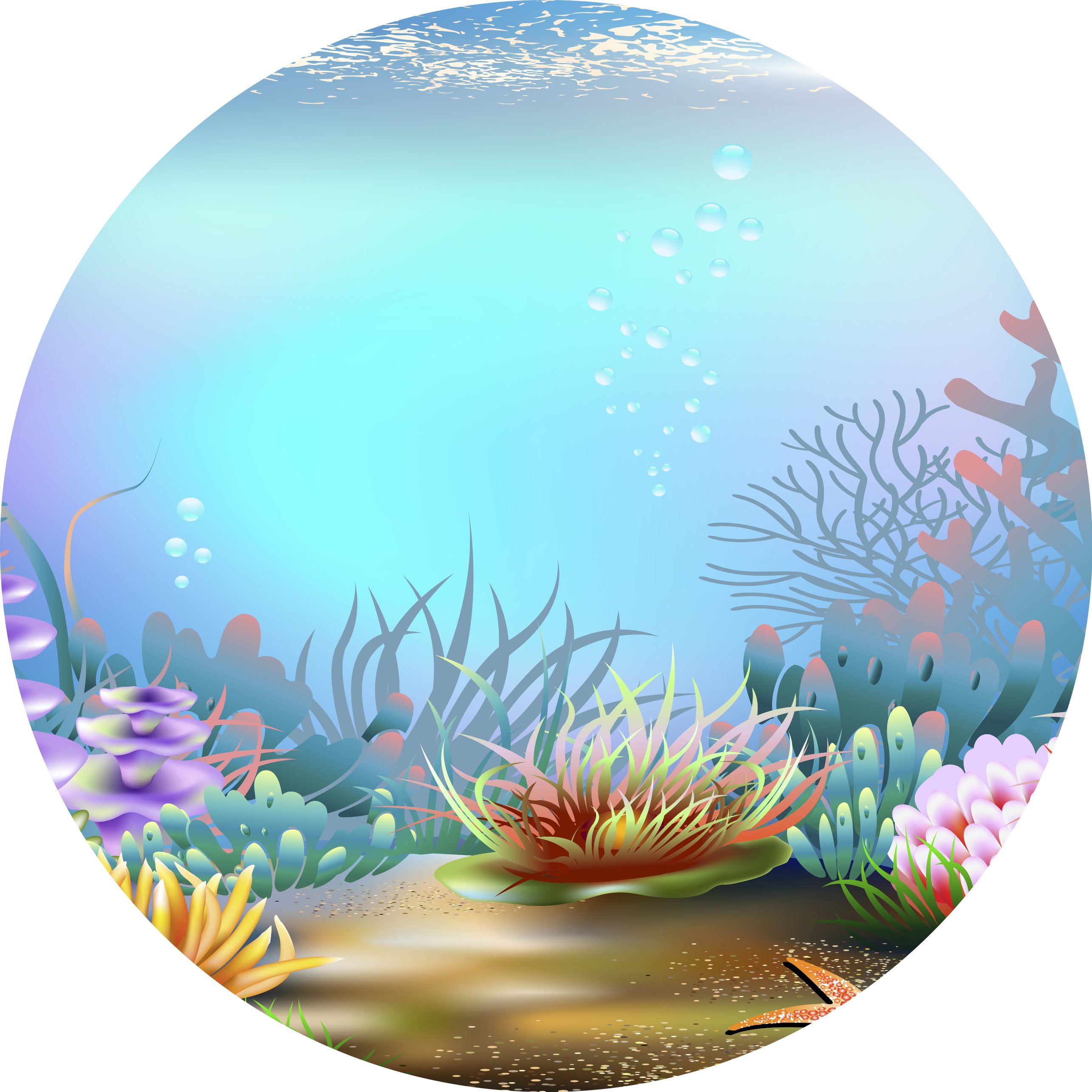 Backdrops | Product categories | Parties And Signs | Page 9